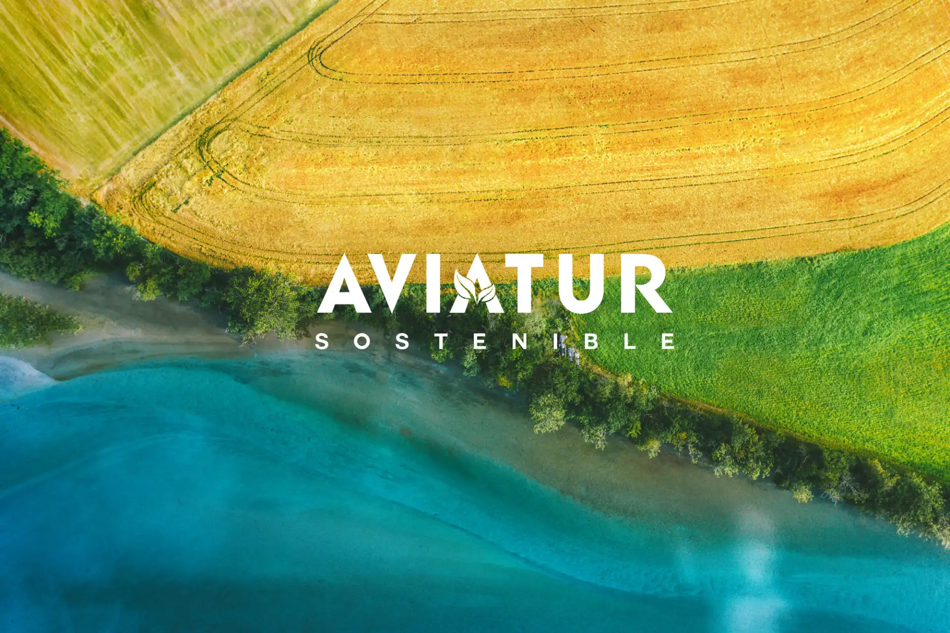 La Agencia de Viajes Aviatur S. A. S. se certifica como la primera ...